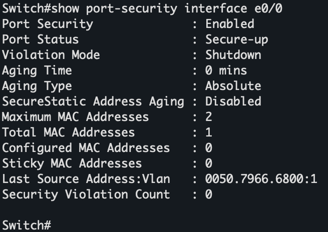 10 Cisco Port Audit Steps for Better Security