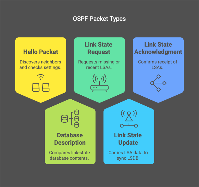 OSPF Basics – Introduction to OSPF: How It Works and Why It Matters